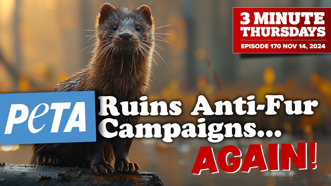 PeTA Tries to RUIN Anti-Fur Campaigns. AGAIN. - YouTube