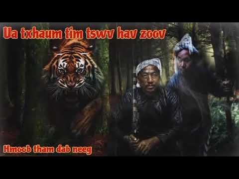 Ua txhaum dab hav zoov tim tswv..3/5/2024 - YouTube