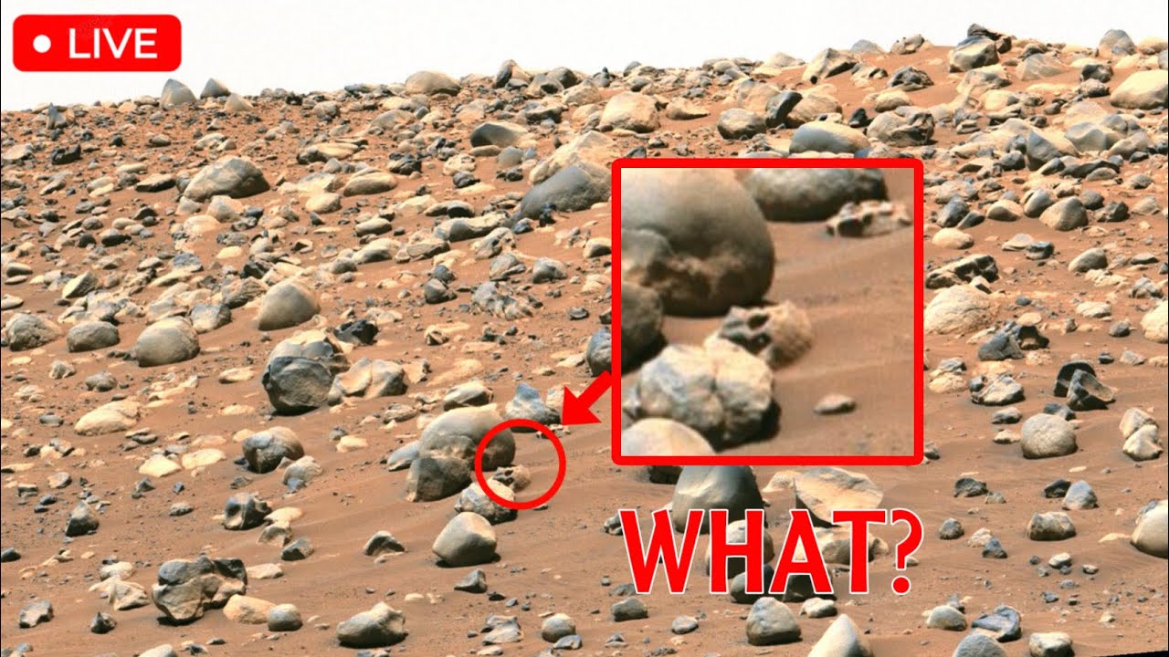 NASA Mars Perseverance rover discovery New Curiosity Footage view 4k ...