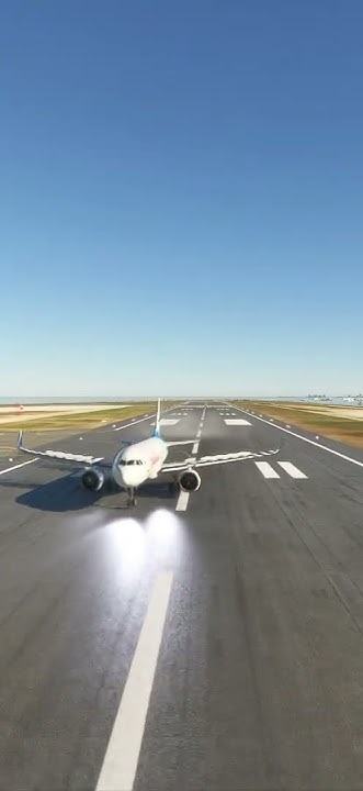 All new Airbus A320 for Maldivian Airlines (8QIAN) lands at Velana International Airport - YouTube