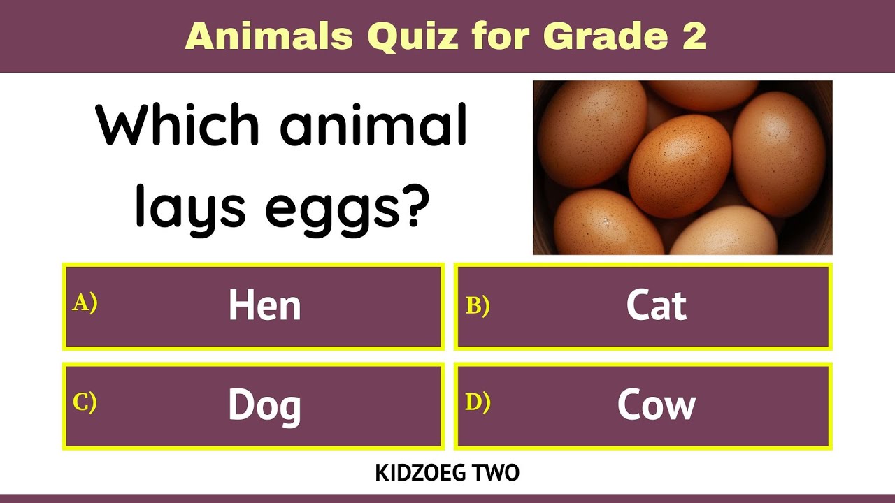 Animals Quiz for Grade 2 Kids | 15 Easy General Knowledge Questions ...