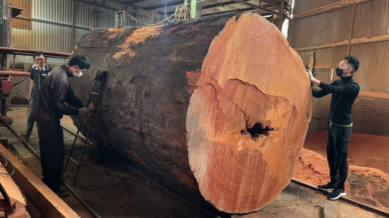 Amazing Large Heavy Sawmill Machine Cutting Wood - Excellent Sawmill ...