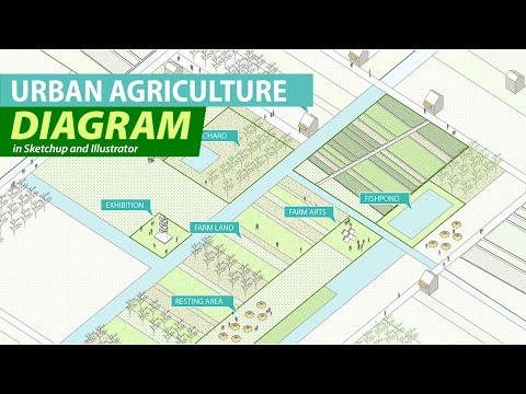Urban Agriculture Diagram in Sketchup and Illustrator - YouTube