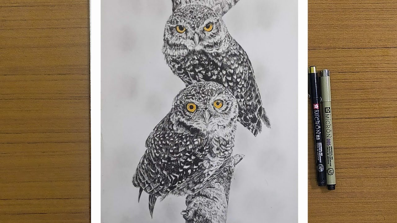 HOW TO DRAW OWL 🦉 || DRAW WITH ME TWO QUITE OWLS STEP BY STEP ...
