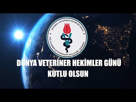 Ben Bir Veteriner Hekimim