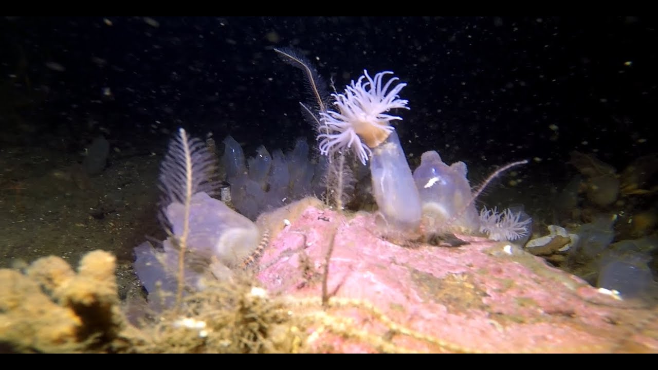 Ireland; Portroe Quarry and Mine, Lough Rea, Lough Derg, North Atlantic ...