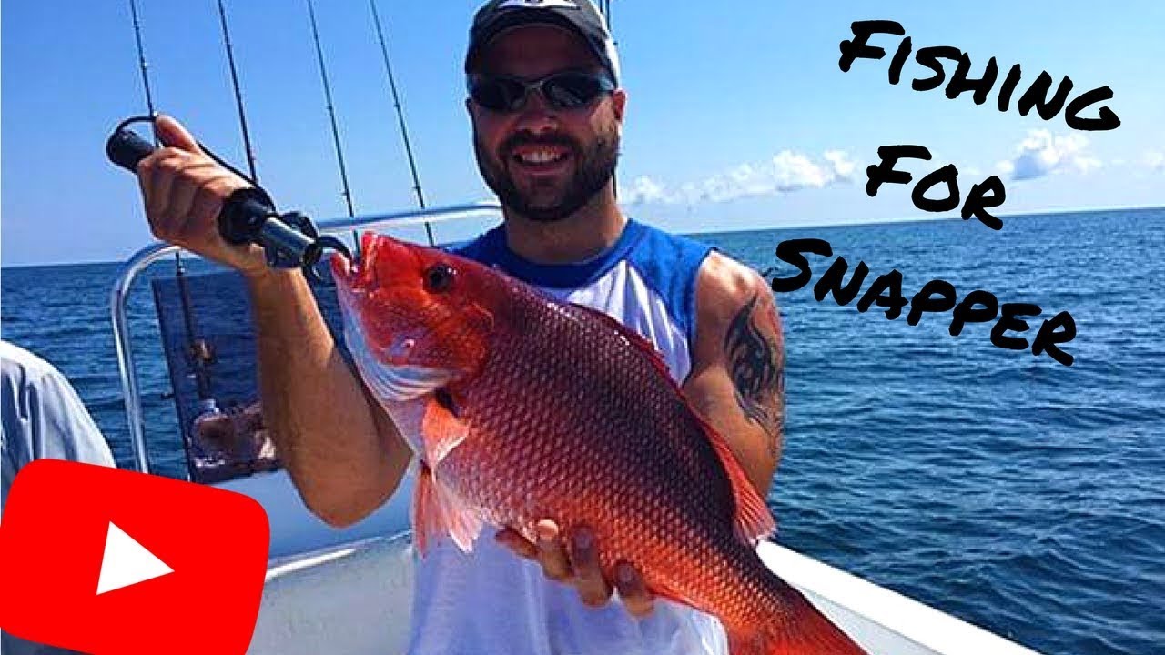 Fishing for Snapper - Snapper Fishing in the Gulf of Mexico - Fishing ...