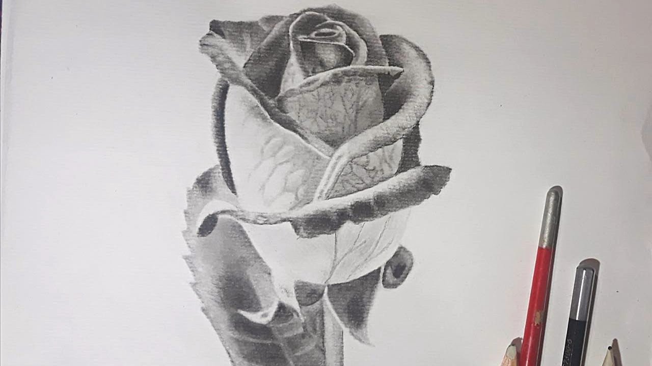 Rose drawing / how to shadow a rose / flower design drawing /flower art ...