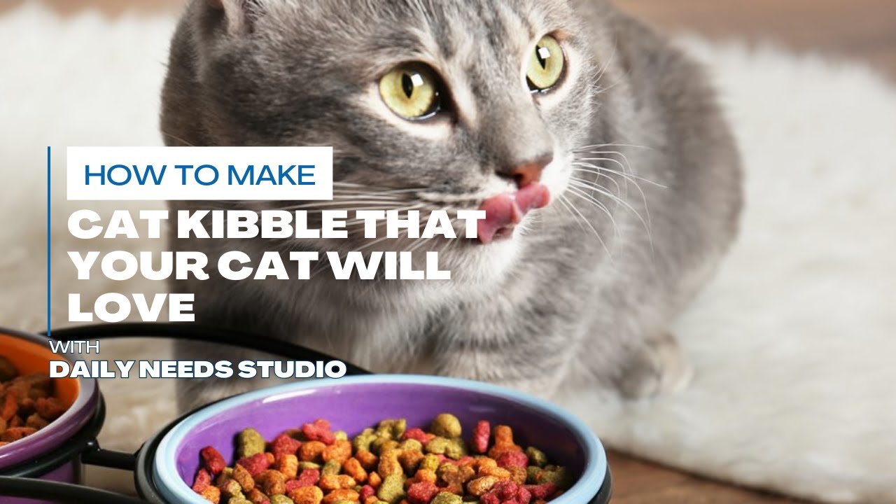 How to Make Cat Kibble That Your Cat Will LOVE! - YouTube