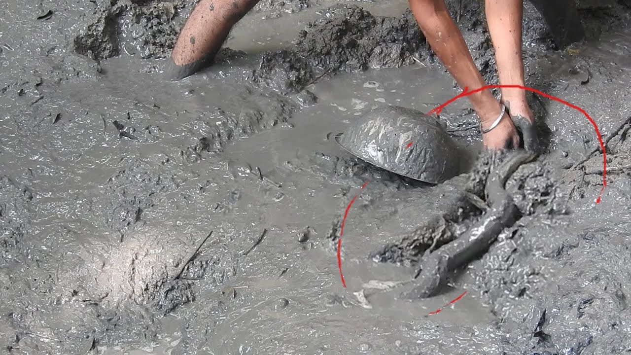 Fishing With Hand In pond..best hand fishing with traditional fishing ...