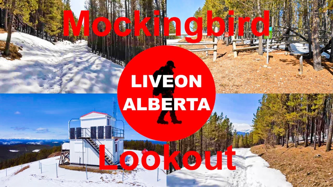 Breathtaking GHOST Wilderness: Mockingbird Lookout #canadianrockies ...