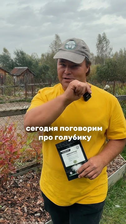 Опыт с/без микоризообразующего препарата Микофренд® на голубике🫐 - YouTube