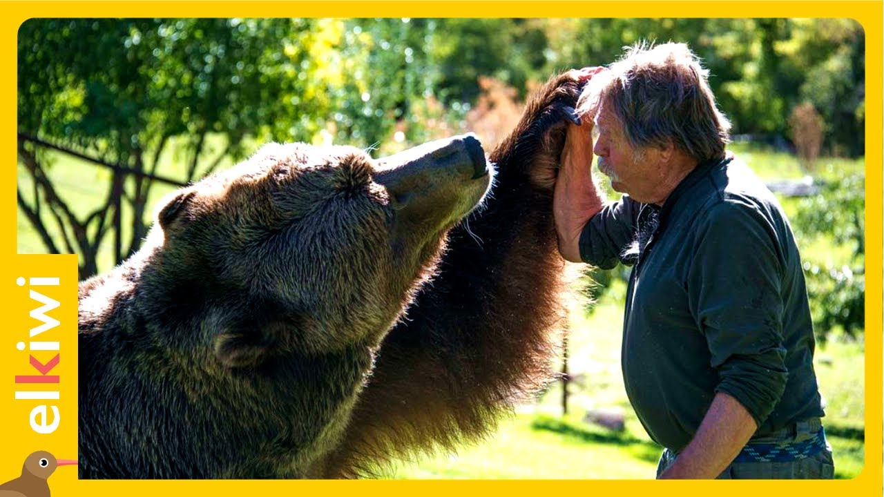 Bart y Doug: La relación entre un oso y un humano que fue más allá de ...