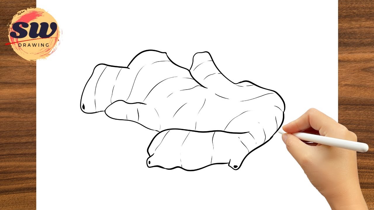 How to Draw Ginger - YouTube