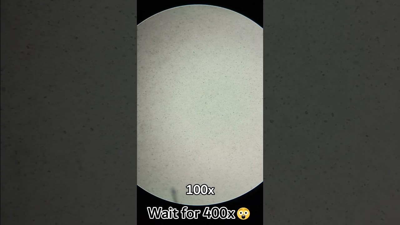 🌰 ALMOND milk under the microscope - YouTube