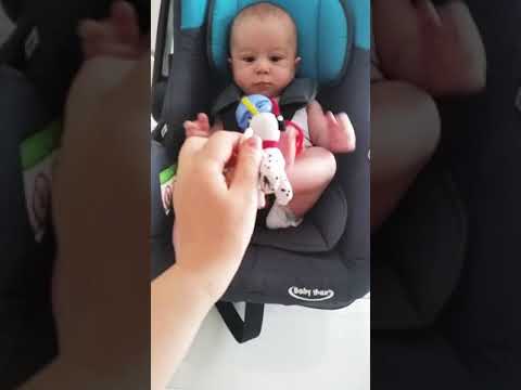 PERİHAN ERDAL ASİL ATA DAĞIDIR ALTI AYLIKKEN💖💖