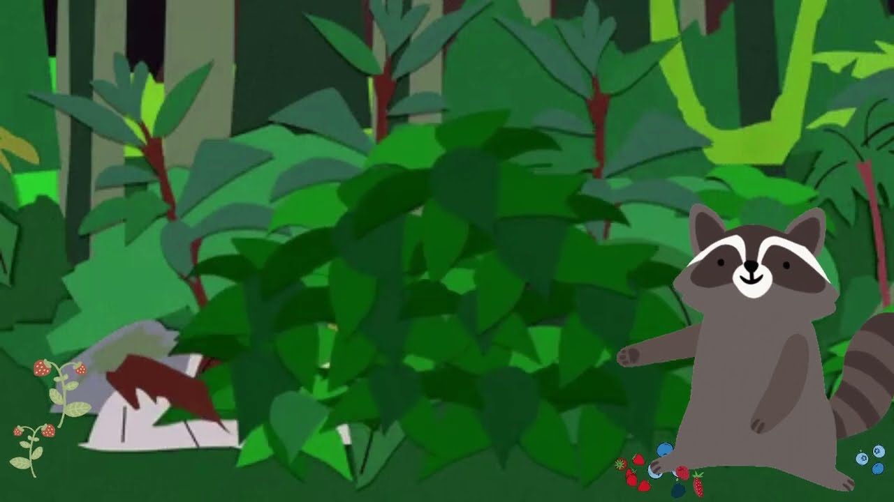 Ricky the Resourceful Raccoon - YouTube