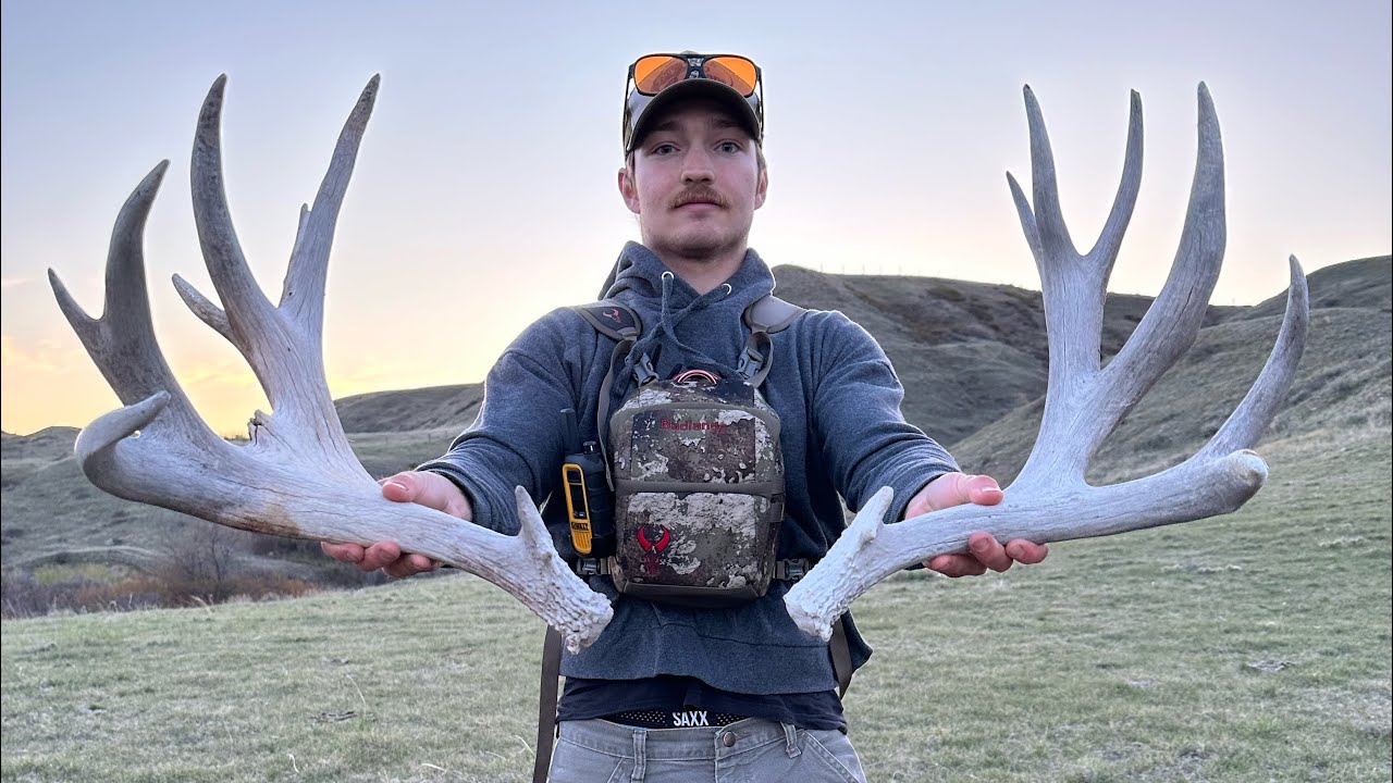 Shed Hunting 2024! “Giant Sets!” (200” Mule Deer Set & Moose Set ...