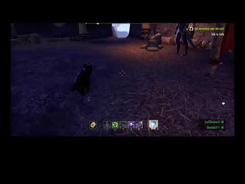 ESO dogs life - YouTube