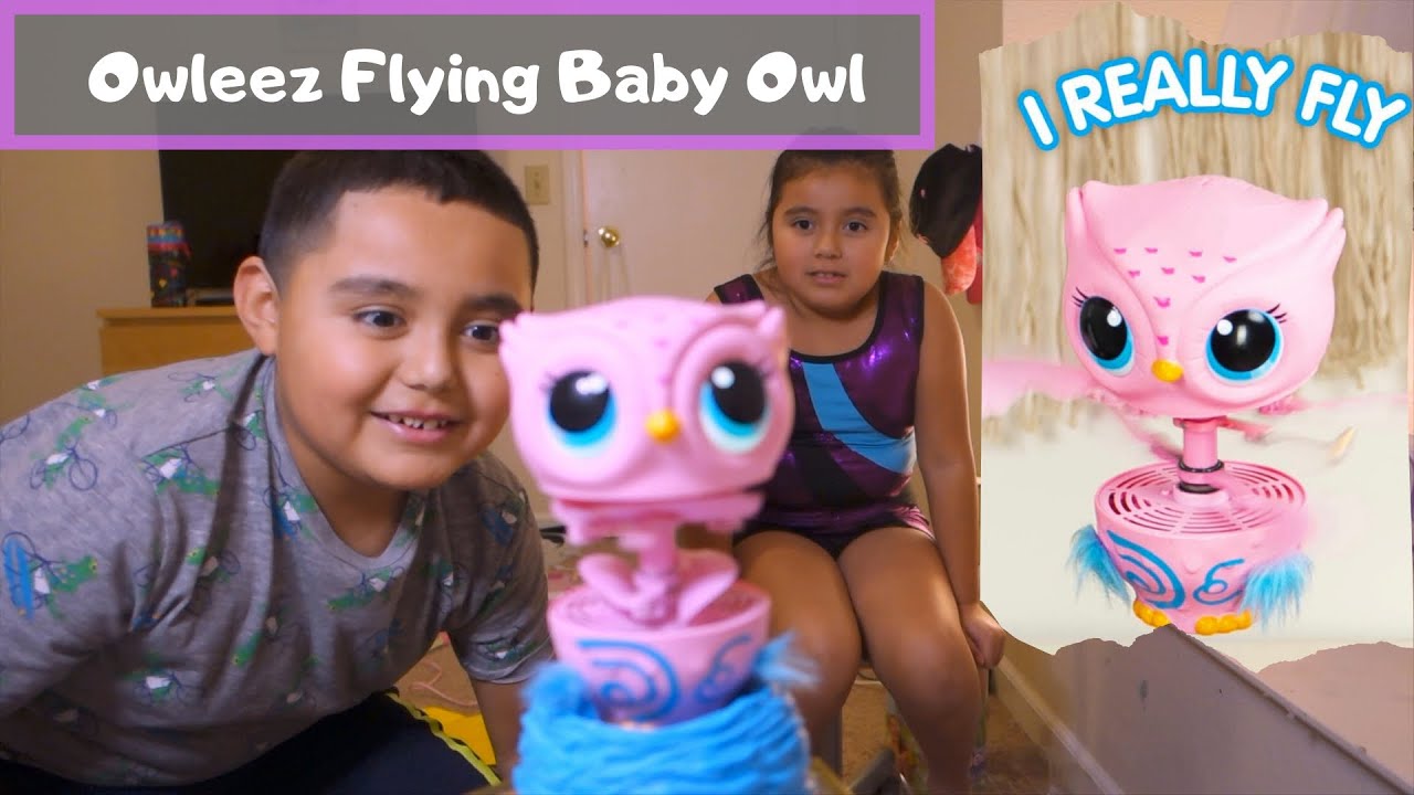 Owleez Flying Baby Owl! 😱🦉 - YouTube