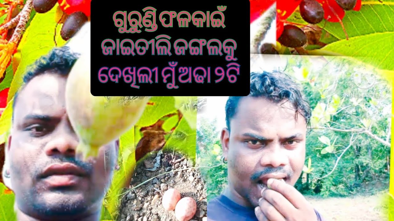 odia balaka video jagalaku jaithili gurudu palkai paili ada - YouTube