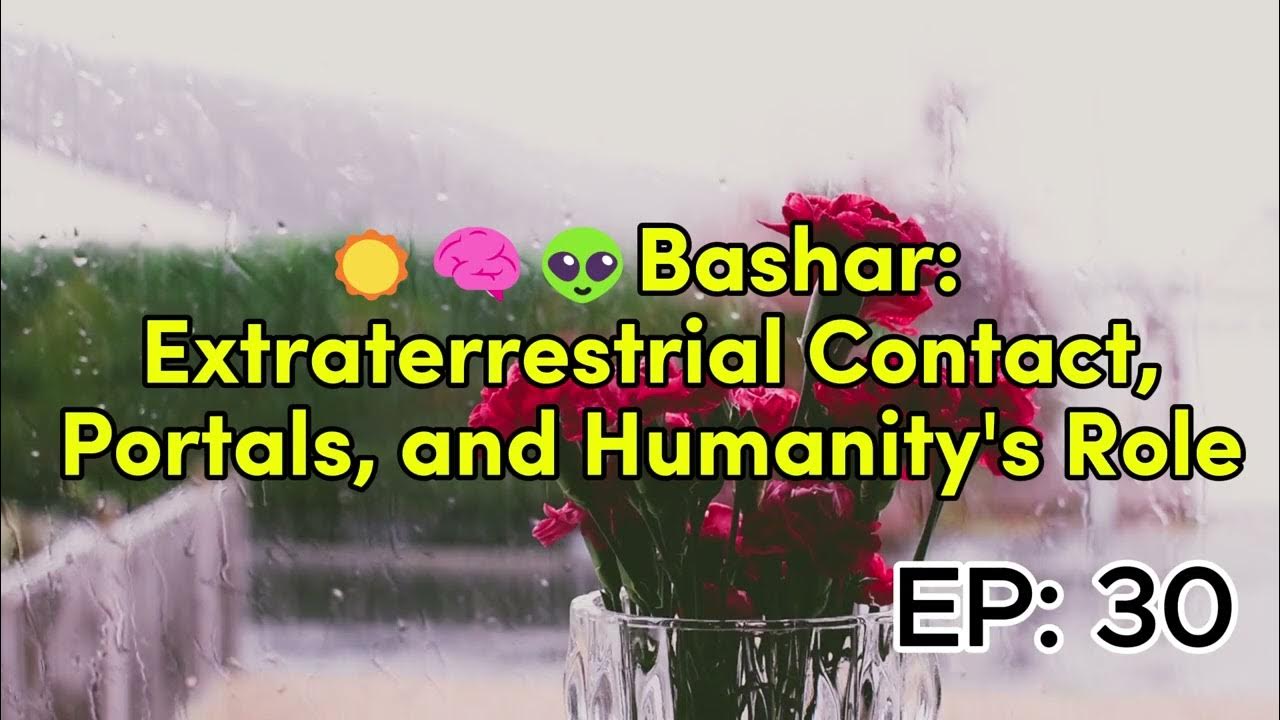 👽Bashar: Extraterrestrial Contact, Portals, and Humanity's Role - YouTube