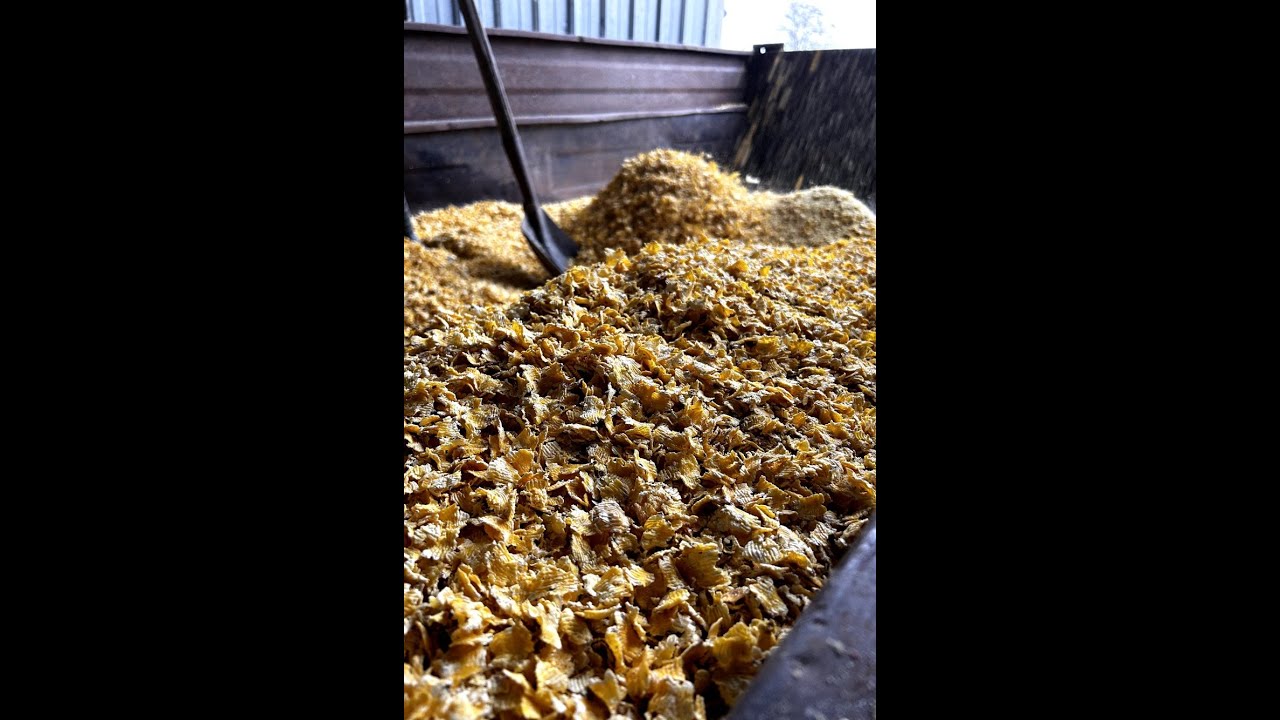 Turnkey Flake Feed Mill Plants | Flaking Mill Facilities | Flake Feed ...