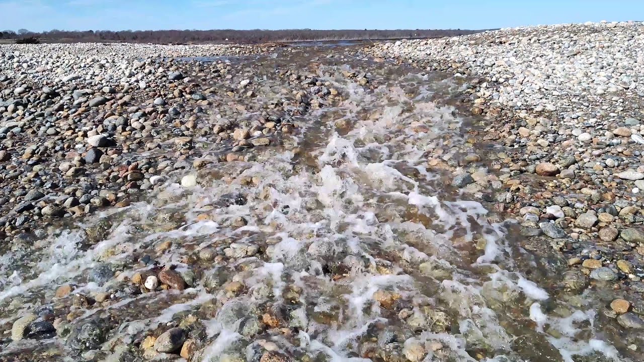 Quicksand Pond: Ready to Breach | Nature Near You - YouTube