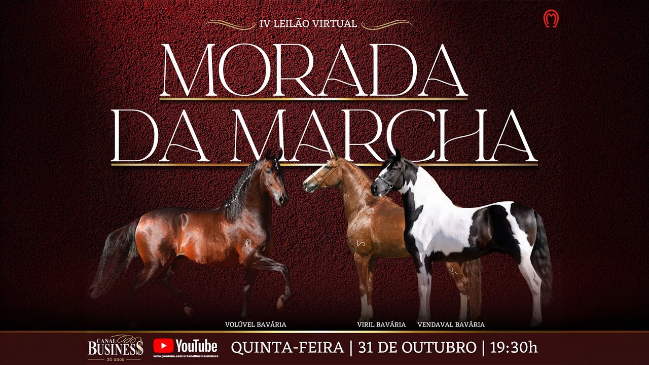 IV LEILÃO VIRTUAL MORADA DA MARCHA - YouTube