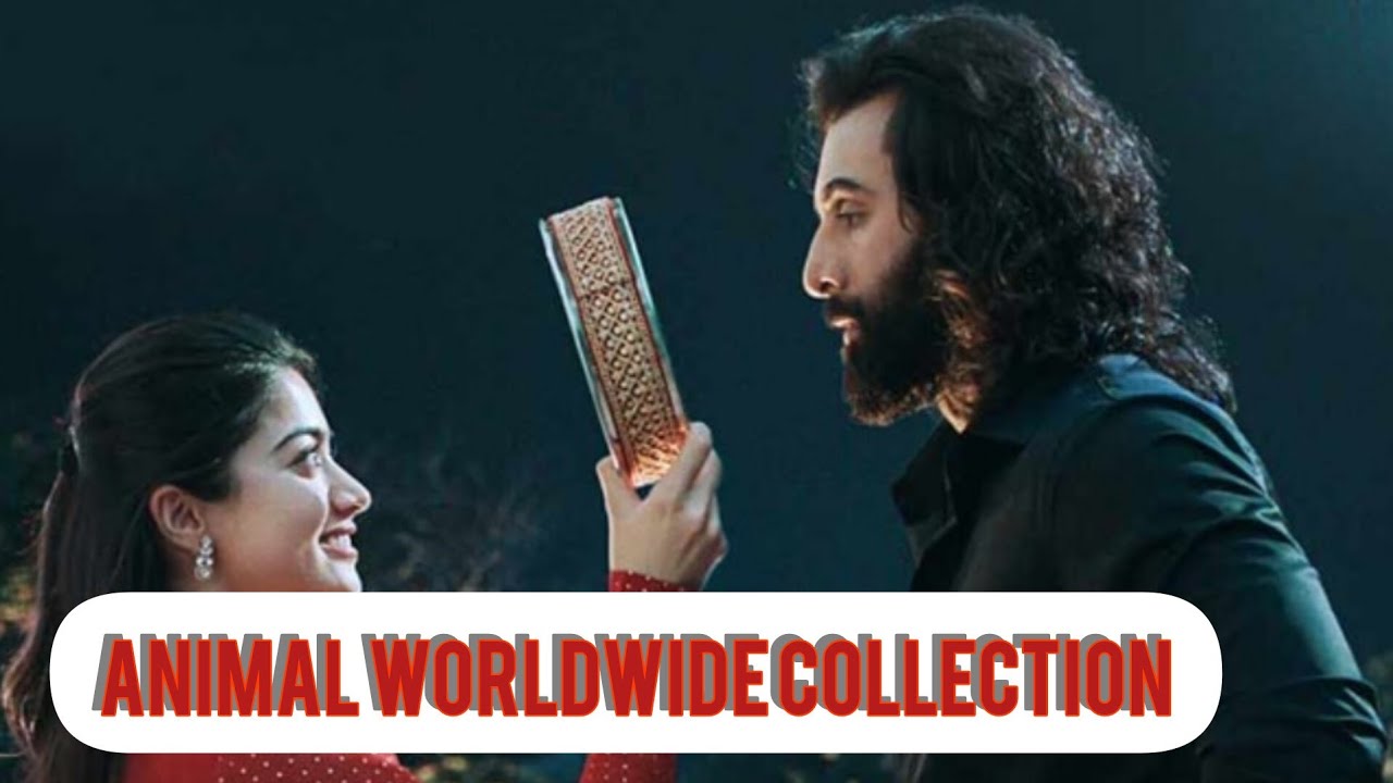 Animal Worldwide Collection - YouTube