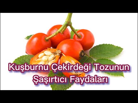 Kuşburnu Çekirdeği Tozunun Şaşırtıcı Faydaları ve Kullanım Alanları! 🌿