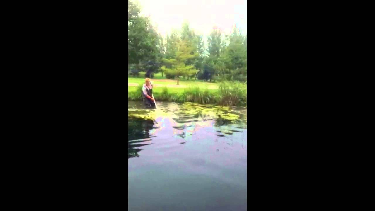 Aquatic Weed Cutter Demonstration - YouTube