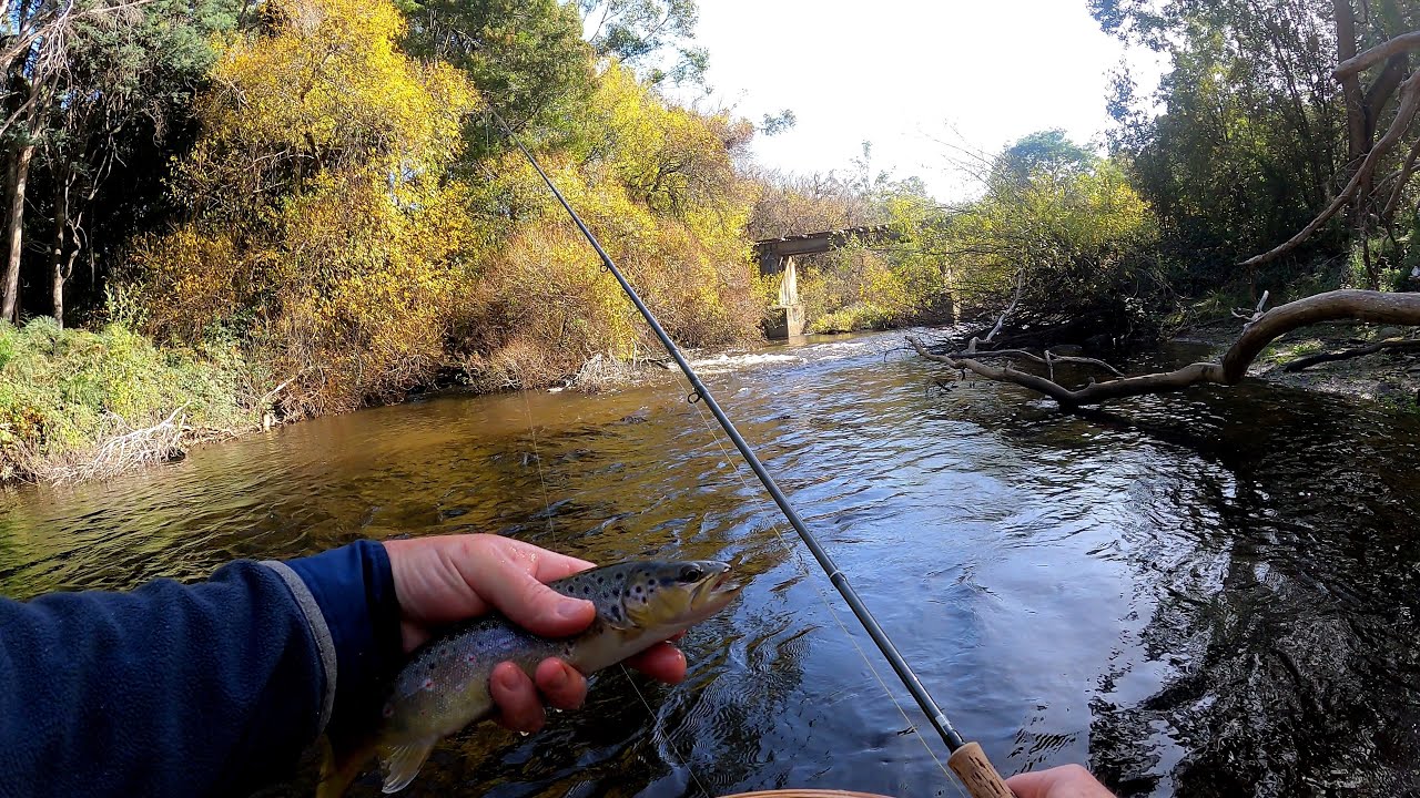 Awesome late season fly fishing on the Tyenna River, Tasmania - YouTube