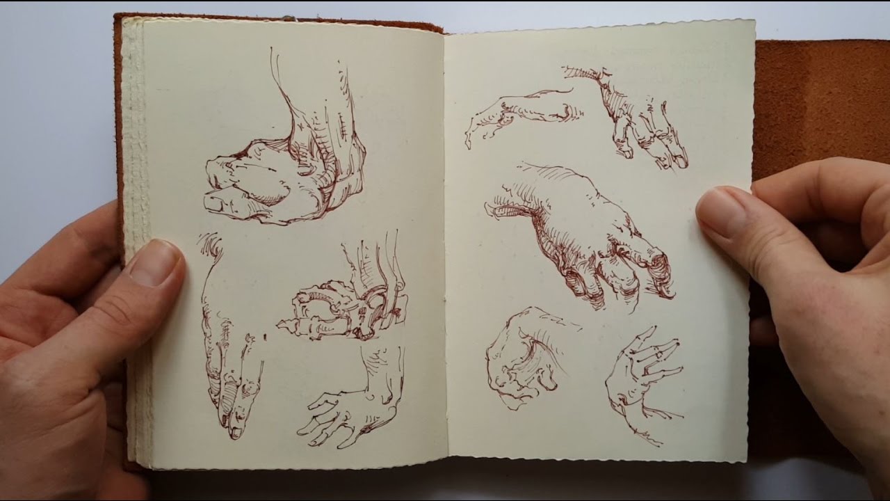 George Bridgman Sketchbook: The Book Of A Hundred Hands - YouTube