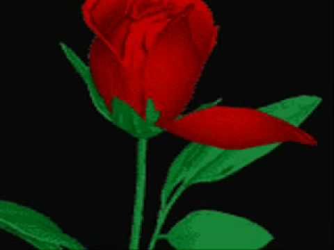 schatz hani birakmayacaktin beni