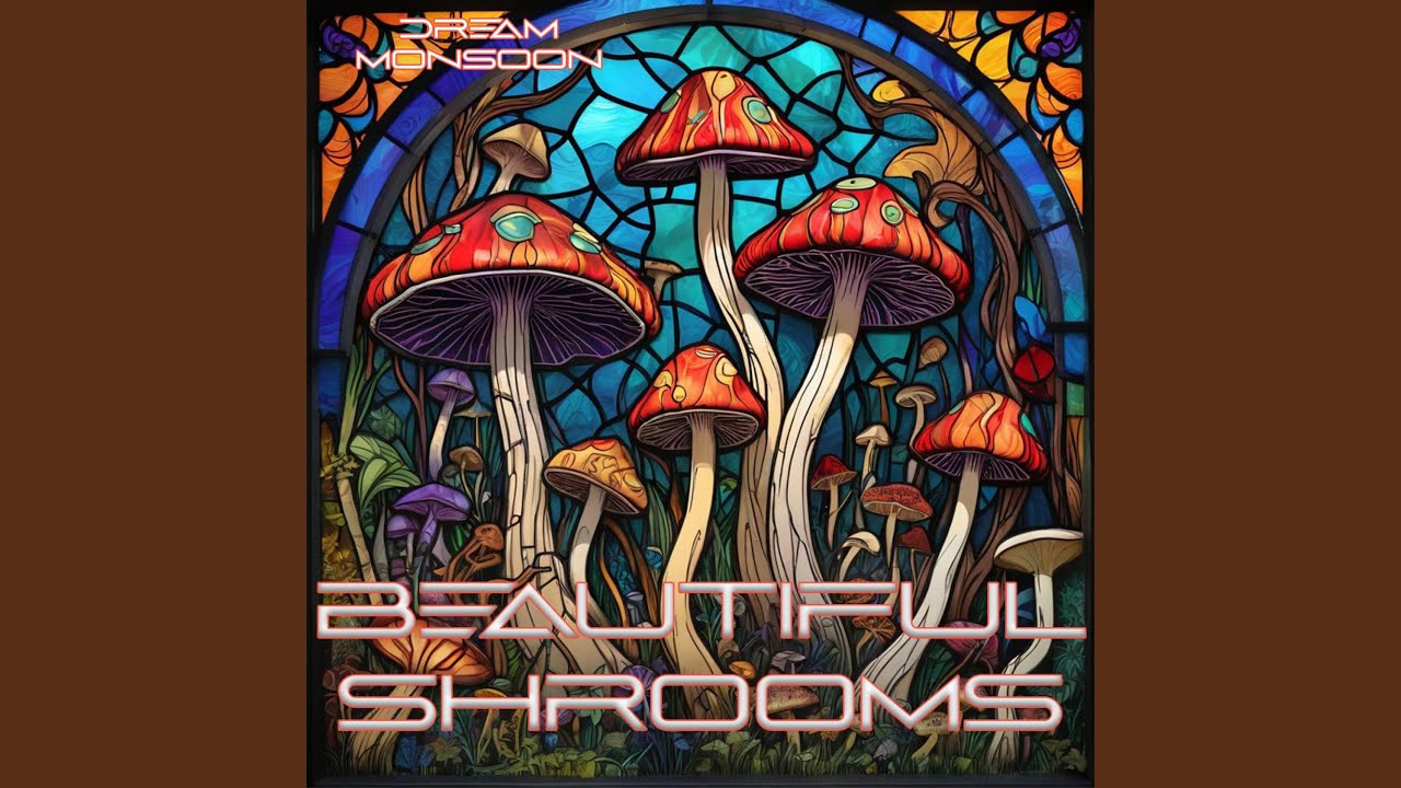 Beautiful Shrooms - YouTube