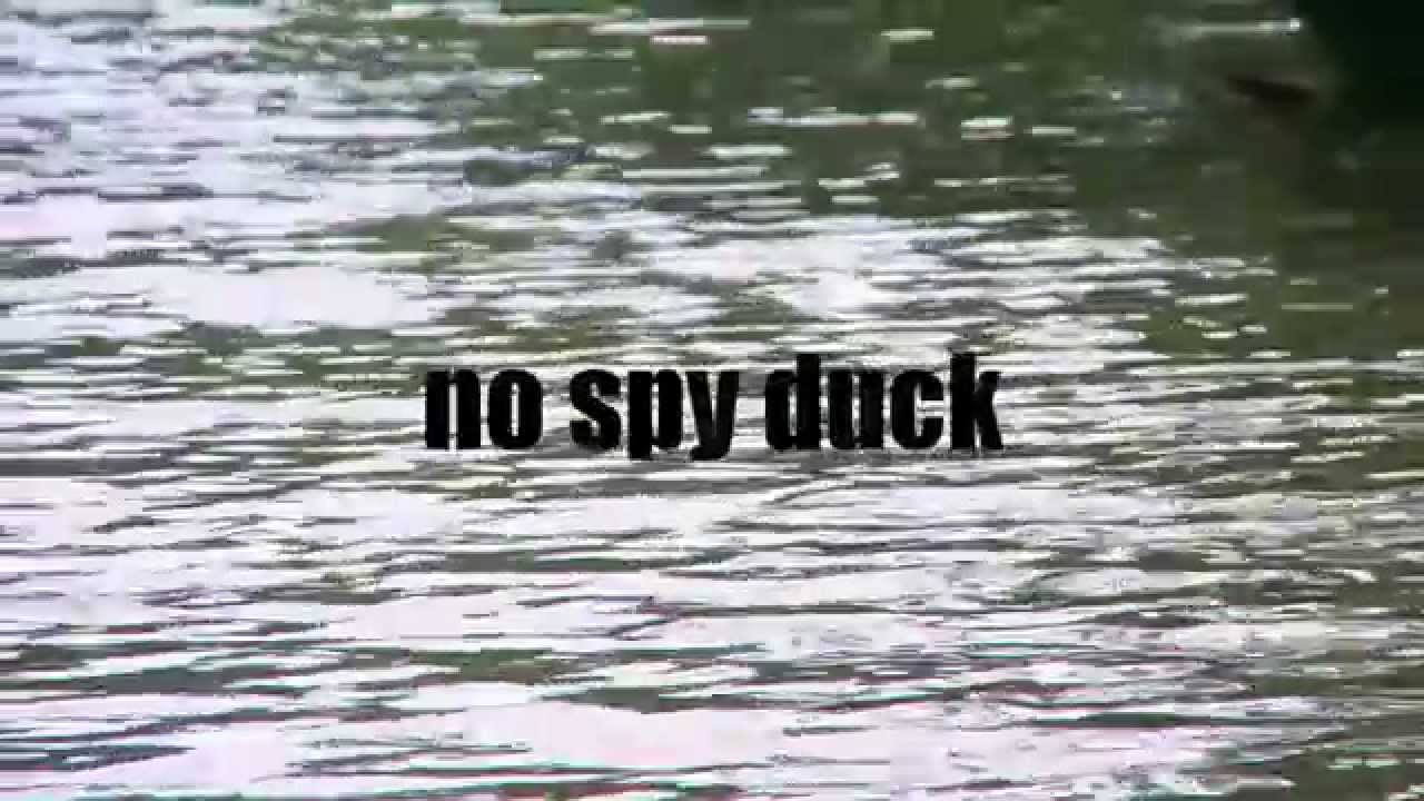 SPY DUCK(S) 4 - YouTube
