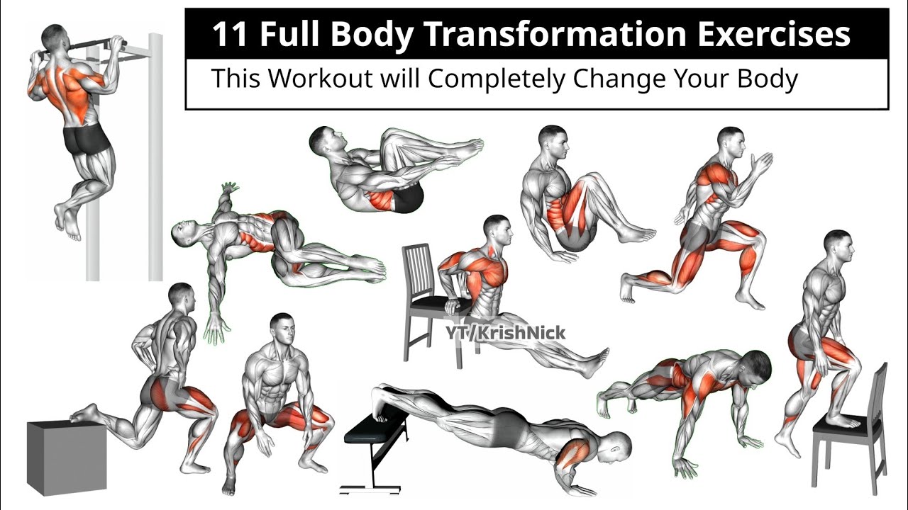 11 Full Body Transformation Exercises | This Workout will Completely ...