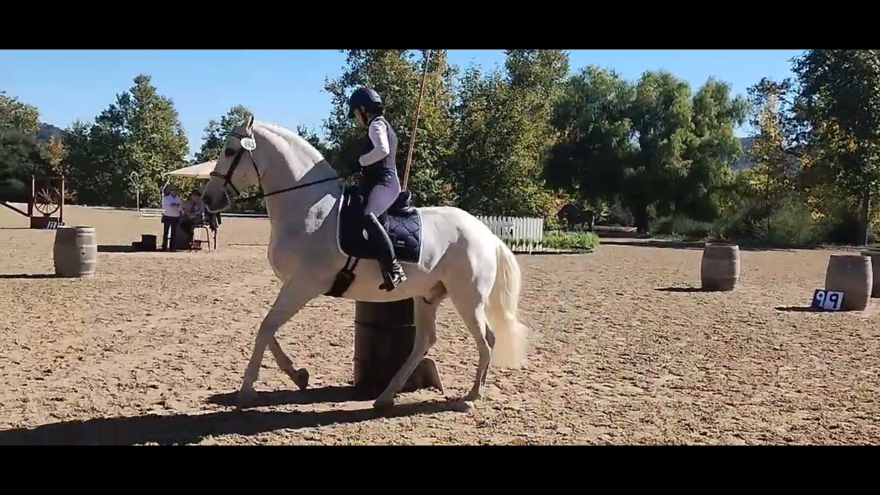 Sarah Pinney - Ease of Handling - El Campeon Working Equitation show ...