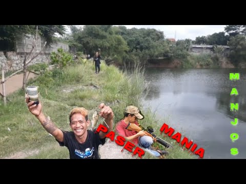 paser mania // target yang semok malah ikan bocil lagi yang kena