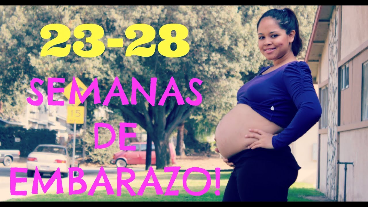 23,24,25,26,26,28 SEMANAS DE EMBARAZO!! 7 MESES DE EMBARAZO!! 28 WEEKS ...