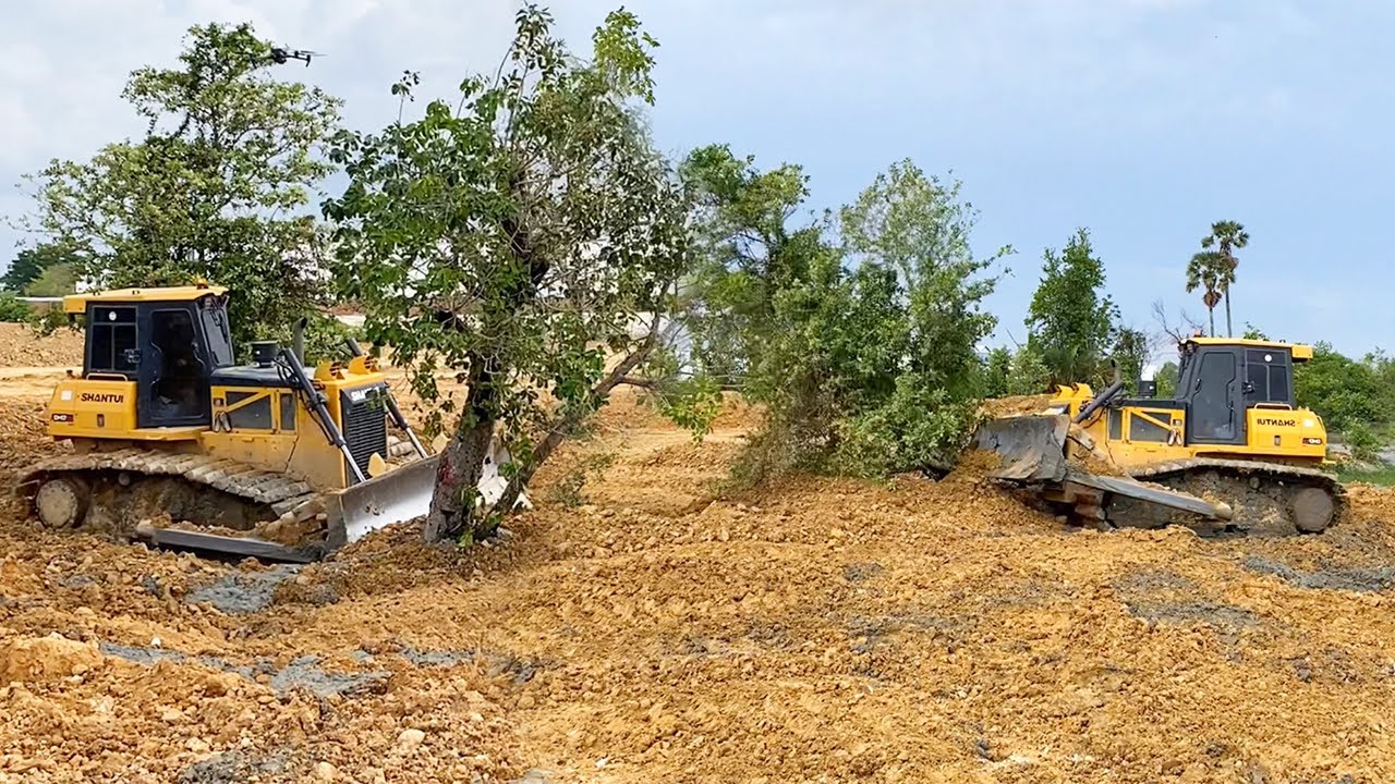 Wonderful activities Dozer SHANTUI pushing trees for landfill project ...