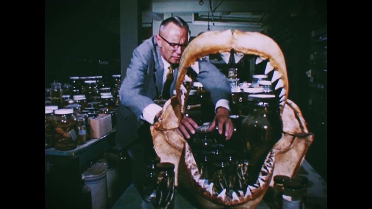 Science in Action: Museum - 1965 - YouTube