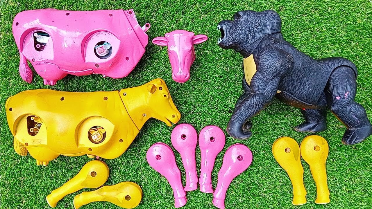 Menemukan dan merakit mainan sapi warna warni, sapi pink, sapi kuning ...