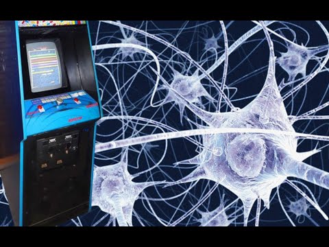 Lab-Grown Brain Cells Play Pong - YouTube
