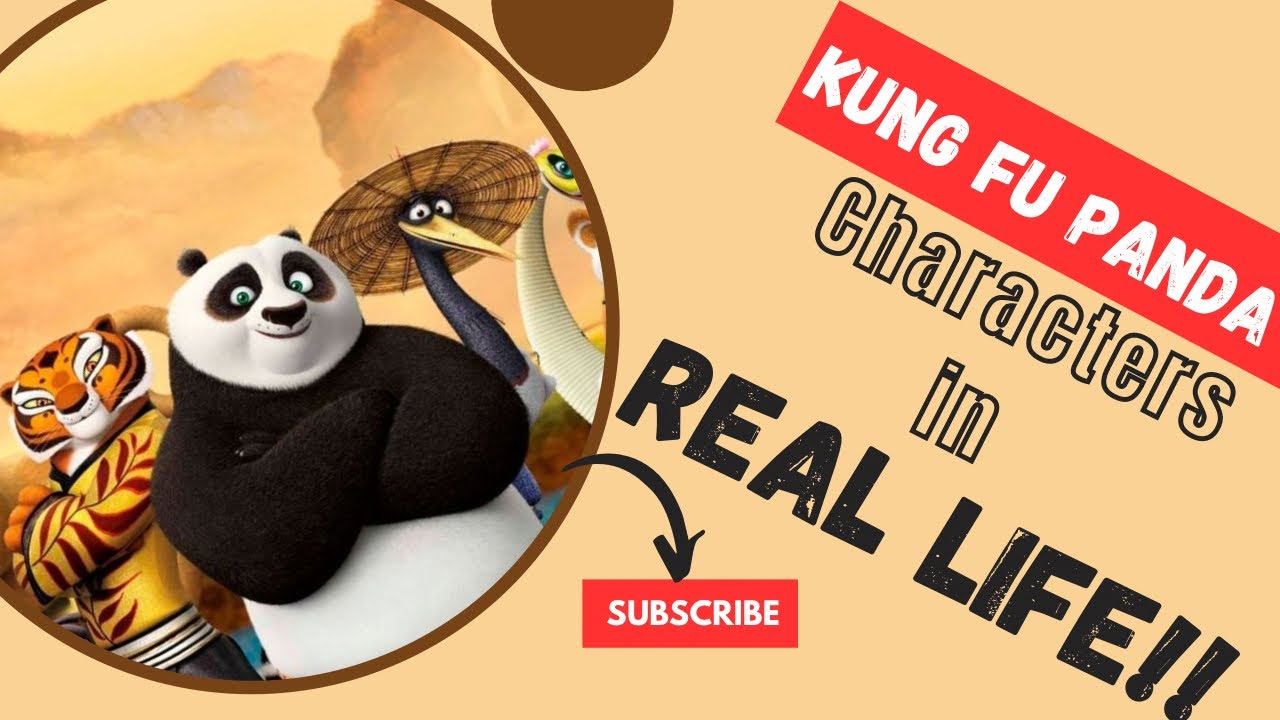 Kung Fu Panda characters in real life! - YouTube