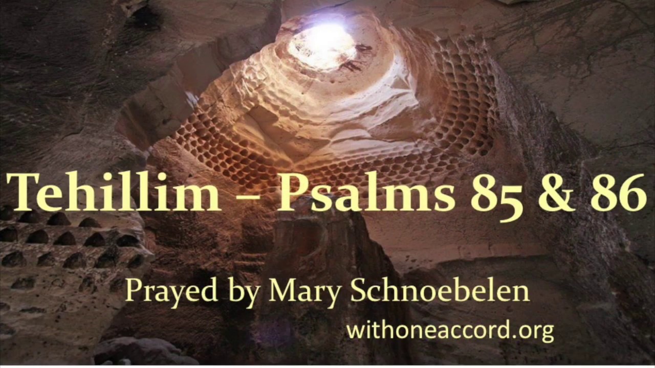 TEHILLIM PSALMS 85 86 YouTube