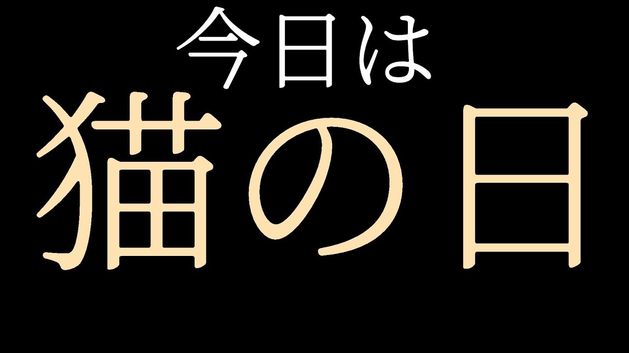 ðŸ˜¼ã€æ”¯æ´æ±‚む】今日ã¯çŒ«ã®æ—¥ã€å‰è¶³ã®ãªã„猫ã®çŠ¶æ³ å‰è¶³ã®ãªã„猫 çŒ«ã®æ—¥ ä¿è·çŒ« Youtube