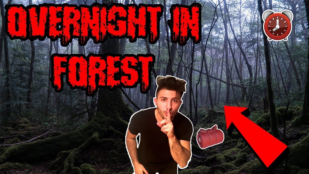24 HOUR OVERNIGHT CHALLENGE IN A HAUNTED FOREST | WE GOT LOST OVERNIGHT ...