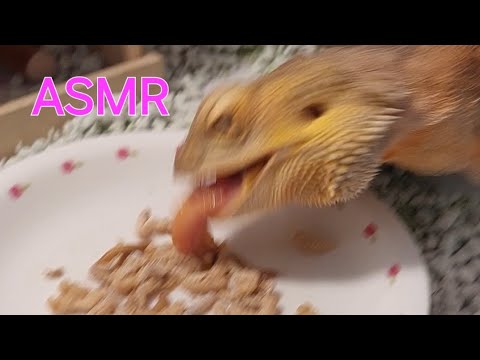 *ASMR* Food chewing sounds. - YouTube